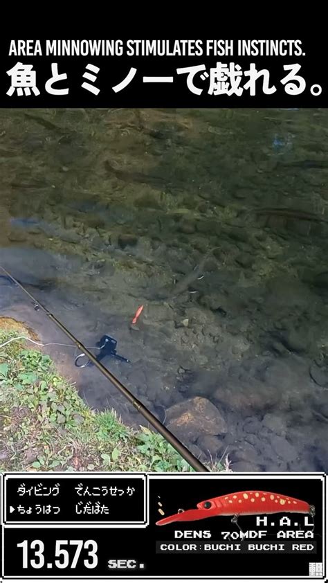 Jyubei ミノーに戯れてくれる魚は希少。 釣り場も魚も大切にしていきたいですね。 エリアミノーイング エリアトラウト 管理釣り場