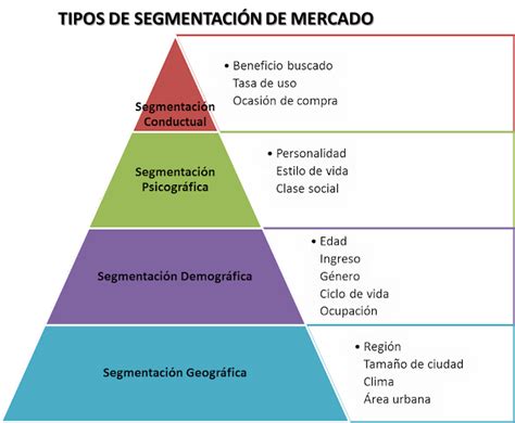Ejemplo De Segmento Cómo Dividir El Mercado Para Tu Negocio