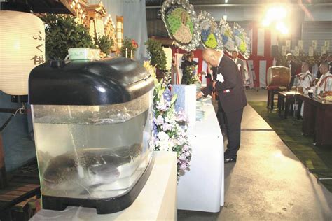 関門海峡と春の共演下関で桜満開、火の山はチューリップも開花 山口新聞 電子版