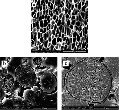 SEM Micrographs Of A PS B 75 25 Wt S1 C 60 40 Wt S2
