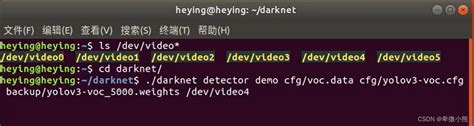 yolov3的训练（六）darknet训练与测试 darknet detector csdn博客