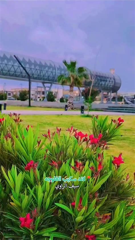 ‎لاند سكيب الفلوجه العائلي‎ Landscapefalluja • Instagram Photos