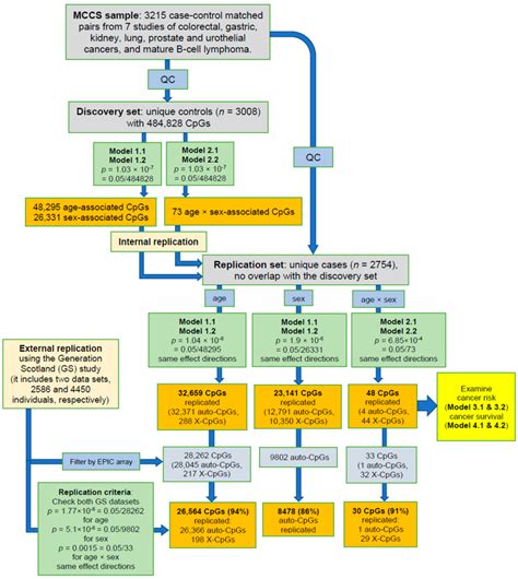 Flowchart Of The Discovery And Replication Strategy Of The Study Gs