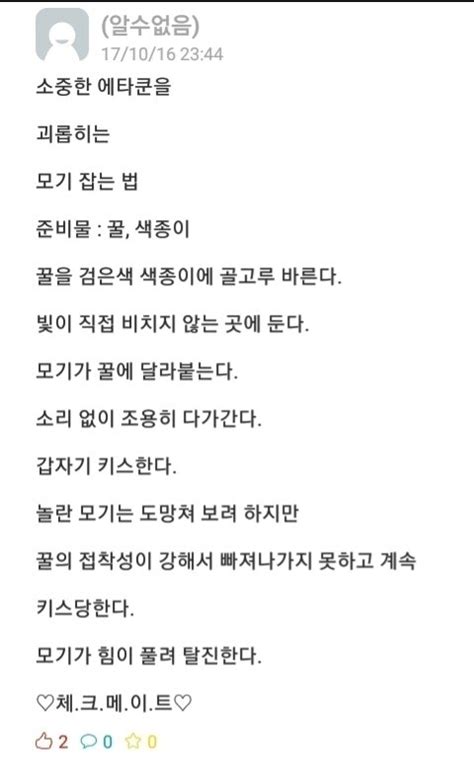 메이플스토리 인벤 메붕쿤들을 괴롭히는 모기 잡는 법 메이플스토리 인벤 자유게시판 구