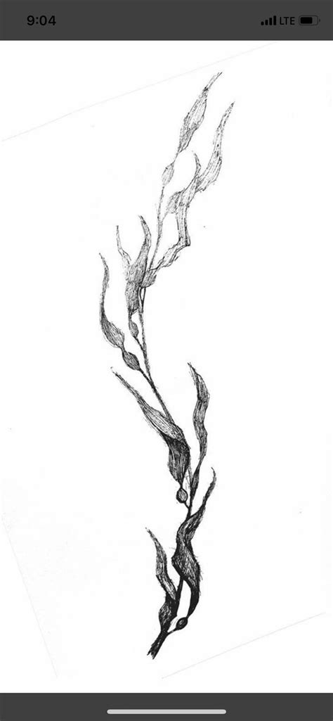 Small Sea Tattoo Ideas Kelp Sketch Nature Style Tattoos Seaweed Tattoo