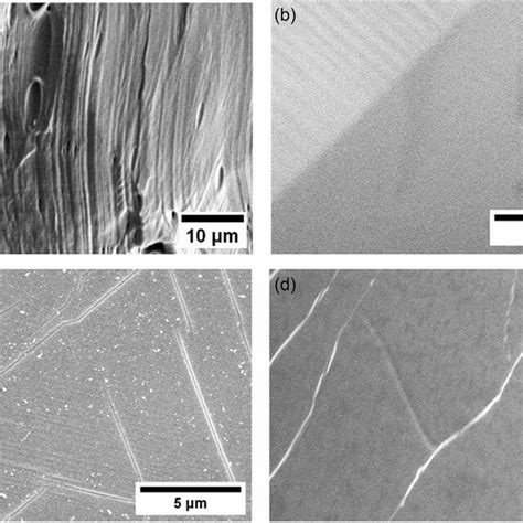 Morphology Of The Sensor Electrodes Scanning Electron Microscope Sem