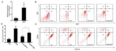 Flow Cytometry Analysis Of Microglial Accumulation In App Mouse A Download Scientific