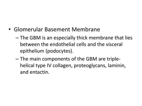 Ppt The Physiology Of The Glomerular Tuft Powerpoint Presentation