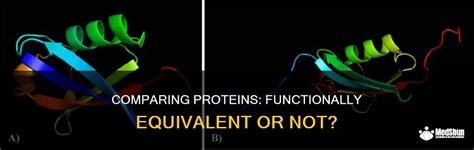 Comparing Proteins Functionally Equivalent Or Not Medshun