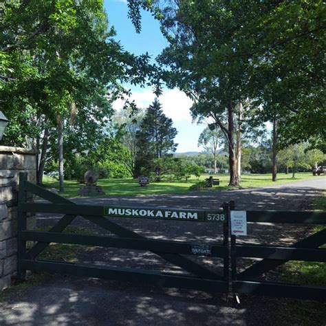 Phase Fit We Can Expect To Bleed Roughly But Consistently 14 Days After Ovulation This Time