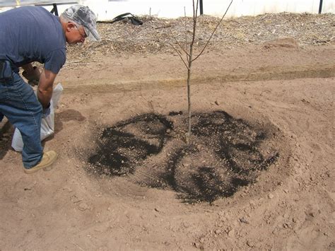 Apply Soil Secrets Humus Products To Sandy Soil