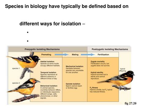 Ppt Macroevolution Speciation Tuesday 11513 Powerpoint
