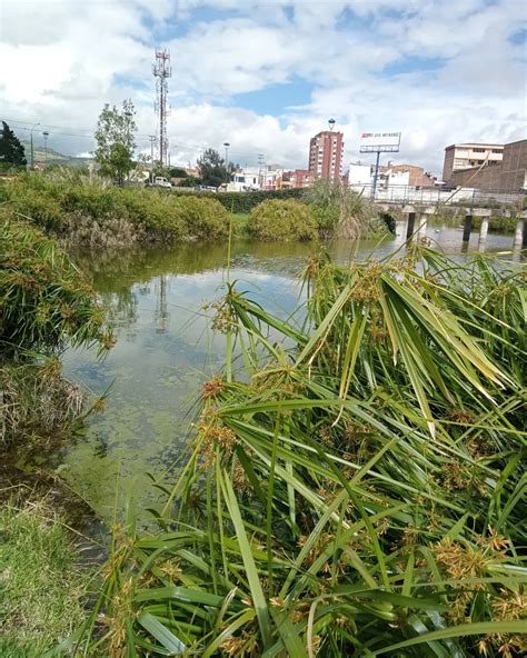 Yisel 🪐 🌳🍃 Instagram