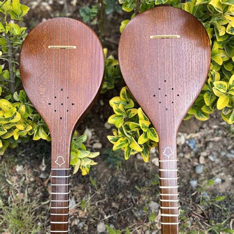 Two Seal Model Setar By Malekshahi