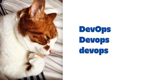 Stackconf 2021 How DevOps Changed The Way We Operate Software PPT