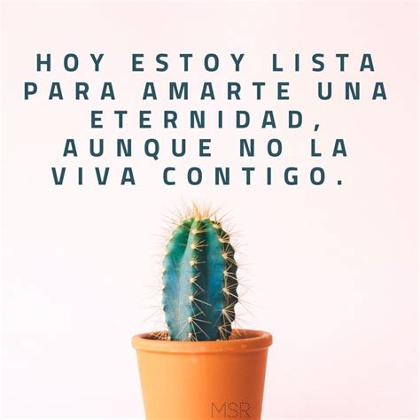 Pin De Xintian En To My Beloved Cactus Frases Bonitas Frases Cactus