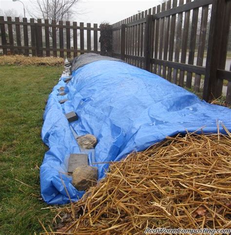 Winter Worm Composting Windrow Red Worm Composting