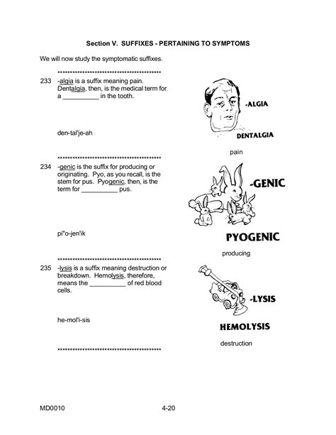 Basicmedicalterminology Shaneholl Page 153 Flip Pdf Online