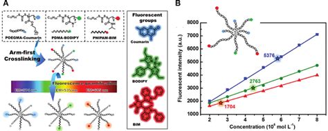 A Illustration Of The Arm First Approach For The Synthesis Of Download Scientific Diagram