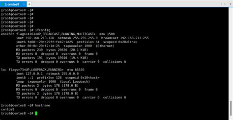 Vmware 17 Player下centos的安装与配置 九陌斋博客