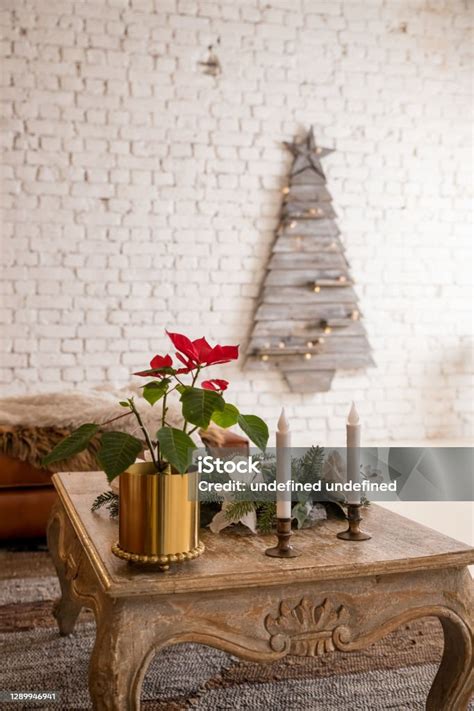 거실에서 축제 테이블 설정과 아름다운 크리스마스 장식 인테리어 디자인 활기찬 포인트세티아와 고전적인 크리스마스 디자인으로 꾸며진 휴가 장식 거실 창조적 인 크리스마스 트리
