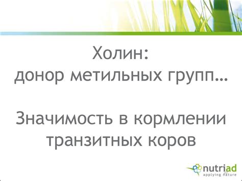 Нутри-Хол 25C - защищенный холин, важный компонент в рационе транзитных ...