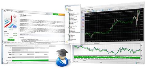 通过metatrader 5进行在线外汇交易和交易所交易