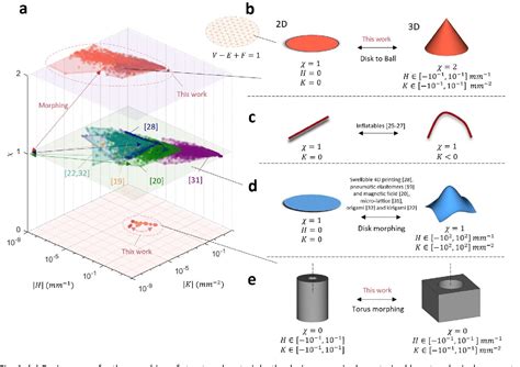 Figure 1 From Topologically Variable And Volumetric Morphing Of 3d