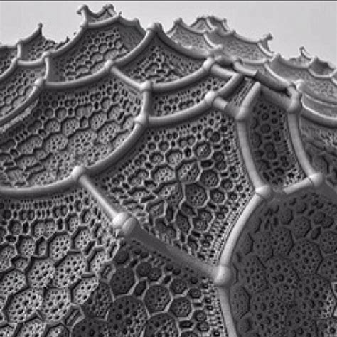 24 Best Fractal Architecture Images On Pinterest Architecture Design