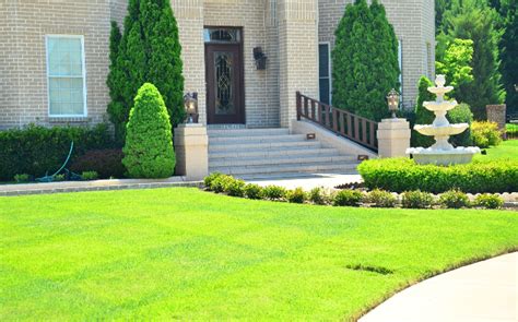 Atg Lawn Care Lawn Care Services In Lewes De