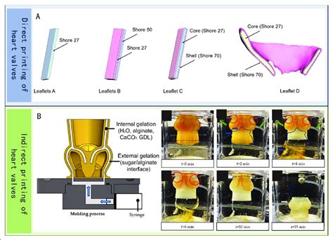 A Design Drawing Of Valve Multi Level Structure Modeling [24] B Download Scientific