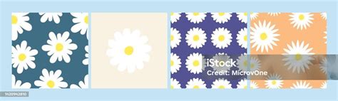화이트 카모마일 원활한 패턴과 카드 데이지 꽃 엽서 디자인 꽃 그루비 인쇄 템플릿 다양한 초원 식물 벡터 배경 0명에 대한 스톡 벡터 아트 및 기타 이미지 Istock