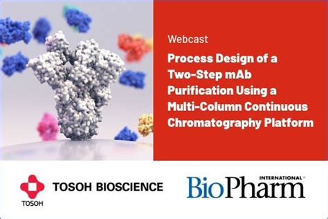 Process Design Of A Two Step Mab Purification Using A Multi Column