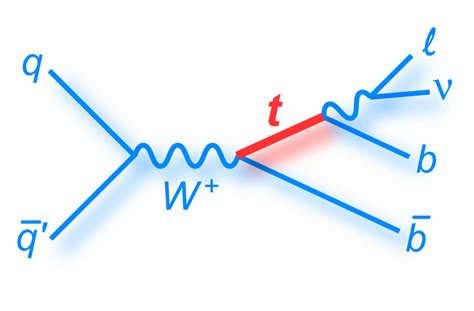 Causality The Dutch Paradigm