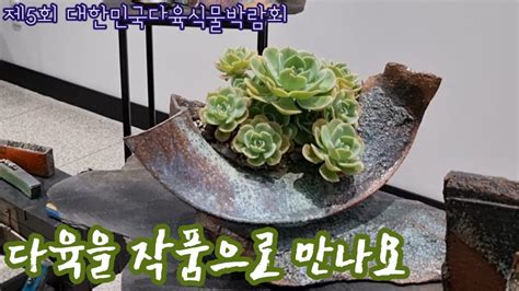 고정관념을 깨는 다육이 화분 And 분갈이 매칭 여기는 대한민국다육식물박람회장입니다 Youtube