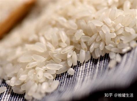 中国十种最好吃的大米快来看看你吃过哪种 知乎