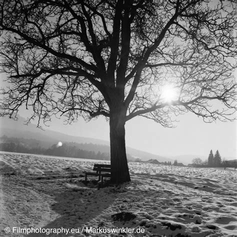 Fomapan 100 | Guide for the film
