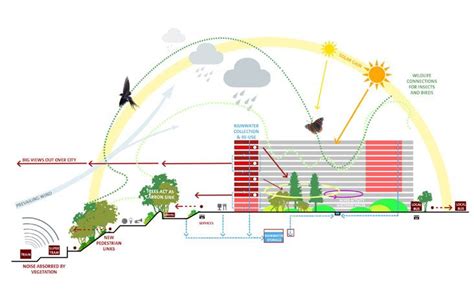 Park Hill Sheffield Ecosystem Diagram