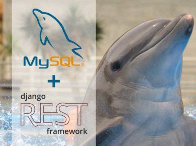 How To Build API With Django REST Framework And MongoDB Sourcery