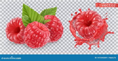 Raspberry Cartoons Illustrations And Vector Stock Images 141835