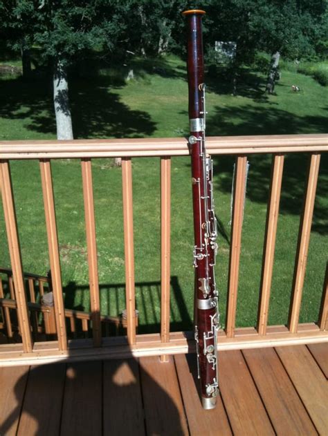 Spongebob Squarepants Bassoon