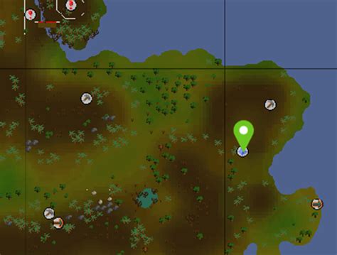 Osrs Big Chimpy Bird Hunting Quest Guide Virtgold