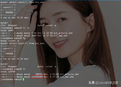 《死磕mysql系列》什么？还在用delete删除数据 乐耶园