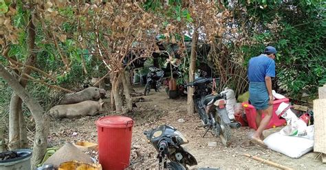 ထီးချိုင့်မှာ တိုက်ပွဲ ဆက်ပြင်းထန်နေပြီး ထွက်ပြေးရတဲ့ ဒေသခံ သုံးသောင