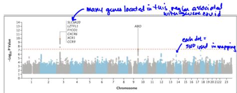 Midterm 1 Lec 1 Lec 9 Flashcards Quizlet