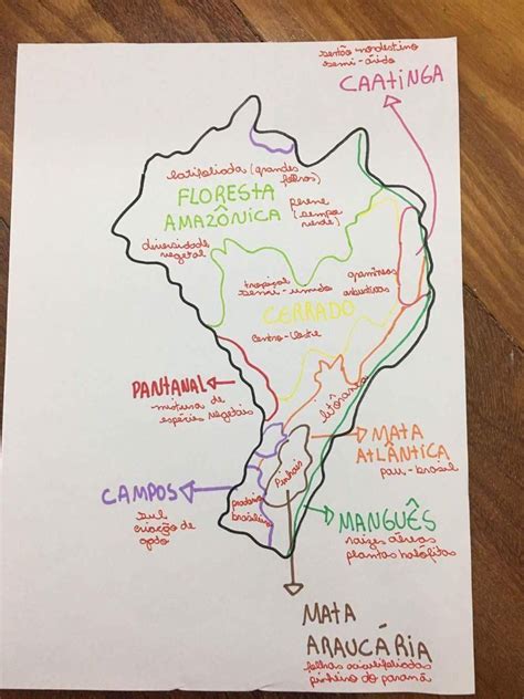 Mapa Mental Região Nordeste Fdplearn