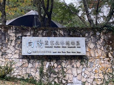 火車旅遊台東進南橫公路、向陽森林遊樂區、天龍吊橋、關山埡口、峽谷奇景二日 國內自由行行程表 Colatour 國內自由行