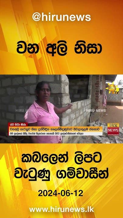 වන අලි නිසා කබලෙන් ලිපට වැටුණු ගම්වාසීන් Hiru News Youtube