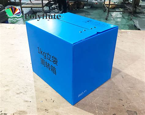 Custom Corrigated Plastic Boxes For Packaging Laundry Detergent