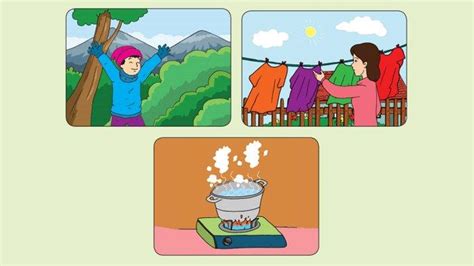 Kunci Jawaban Tema 6 Kelas 5 Halaman 3 4 6 7 8 9 Buku Tematik